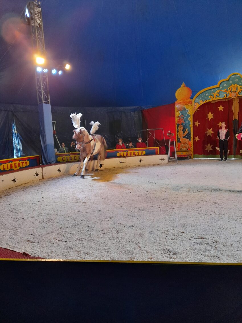 Take Your Preschooler to the Circus? - lyonessandcub